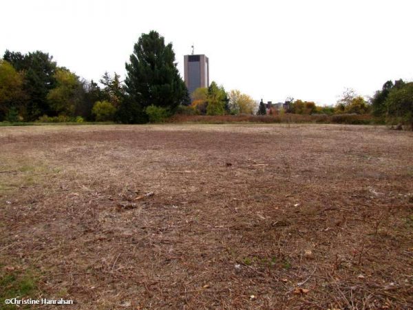 Old Field – OFNC