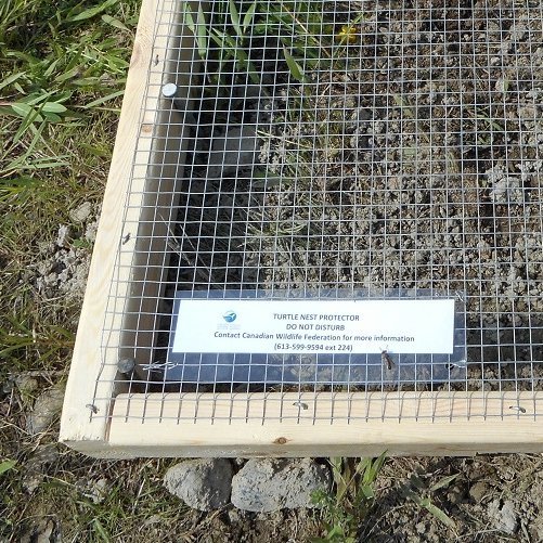 Build it and they will hatch – OFNC