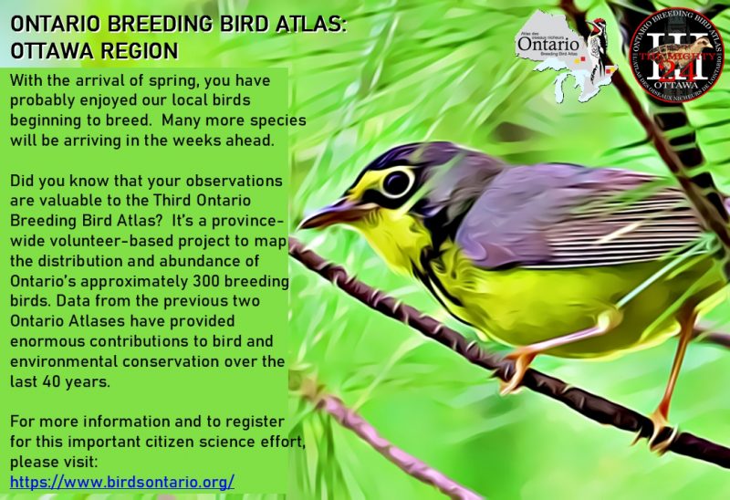 Ontario Breeding Bird Atlas III: Ottawa Region – OFNC