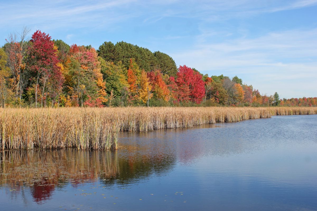 Proposed new road threatens Mer Bleue wetland – OFNC